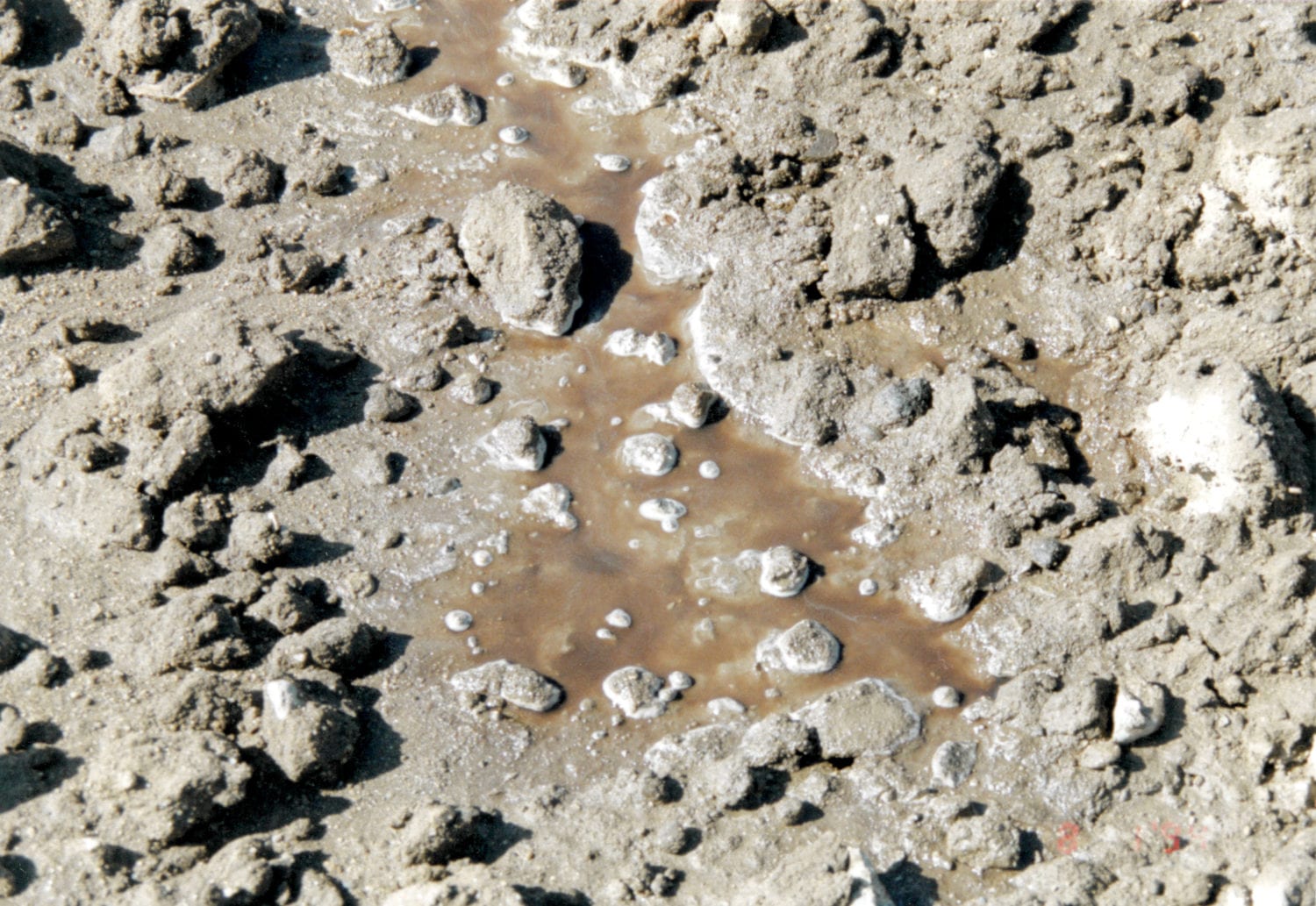 Bunker C Fuel Oil Spill – BioWorld USA DBA Restored Environmental